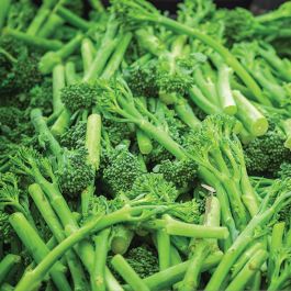 BROKALI - TENDERETTE