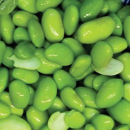 Dwarf Bean ‘Edamame Green Shell’ (soya bean)