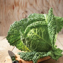 Savoy Cabbage Ormskirk | Gardeners kitchen- grow your own Ormskirk, how ...