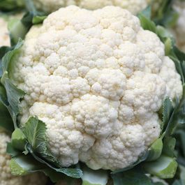 Cauliflower - All Year Round | Gardeners Kitchen, grow your own ...