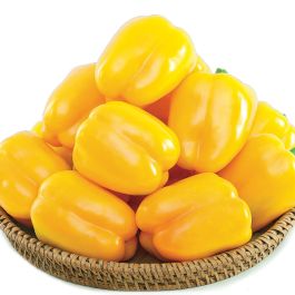 Pepper 'F1 Golden Star' - Gardeners Kitchen, grow your own yellow pepper,