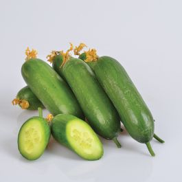 Cucumber F1 Mini Munch, Gardeners kitchen, grow your own cucumber, how ...